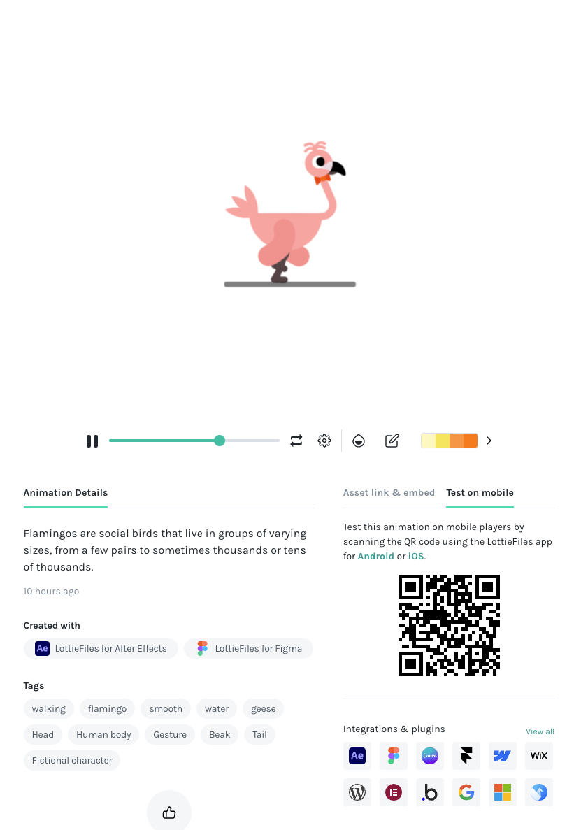 How can I preview my animation on mobile? – LottieFiles Support